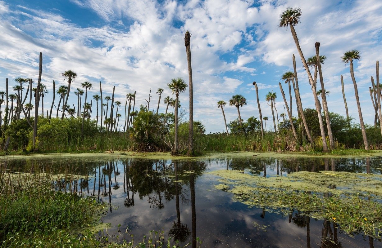 Conservation Florida