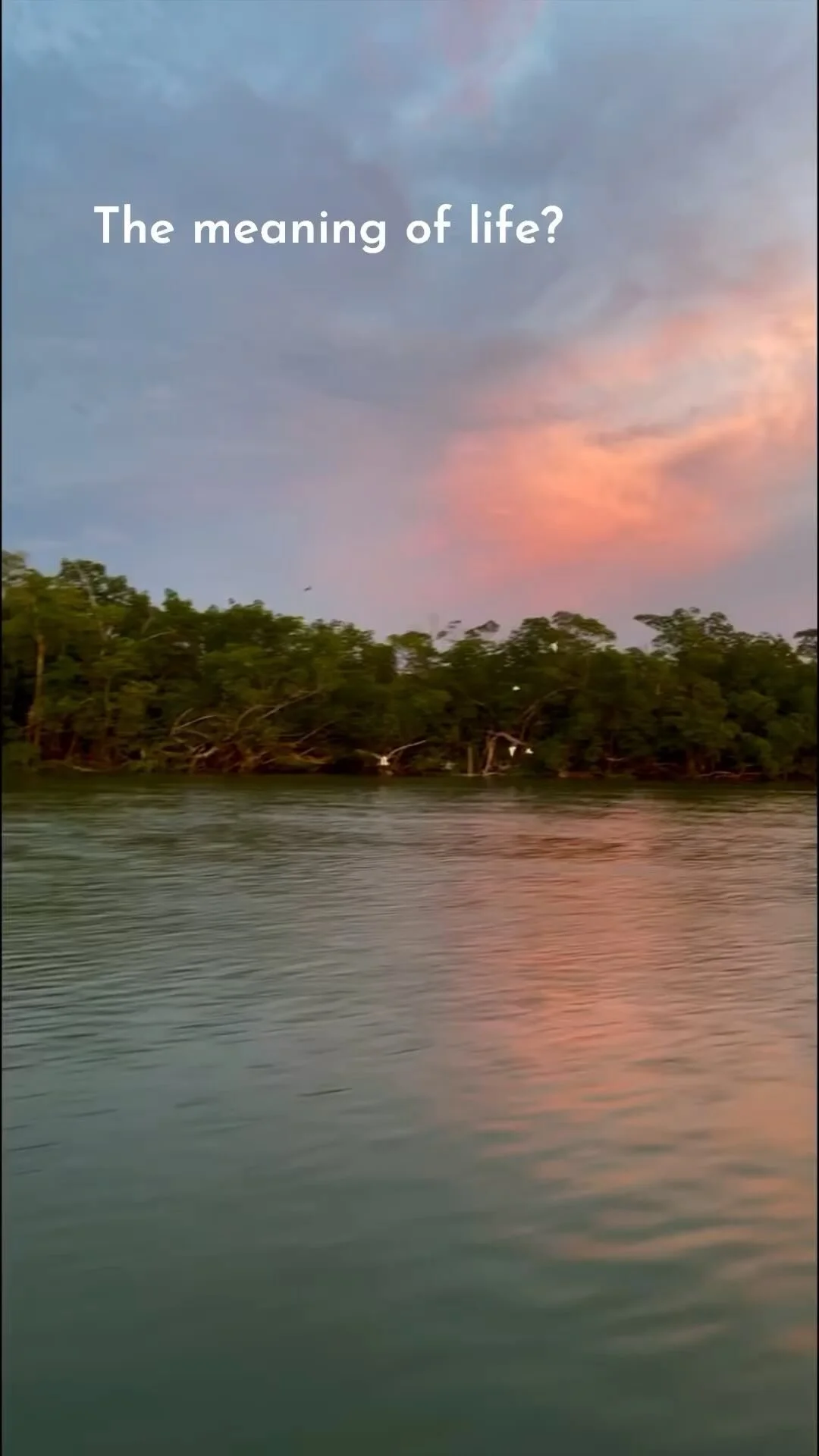 Conservation Florida