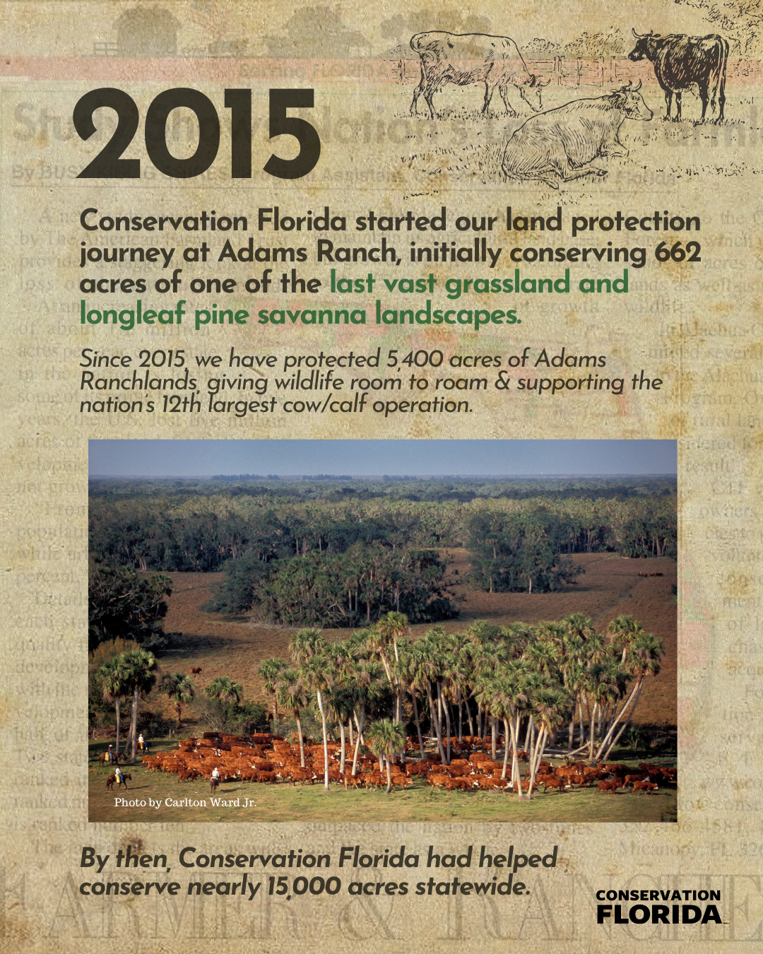 Conservation florida celebrates 25 years of strategic land conservation ...