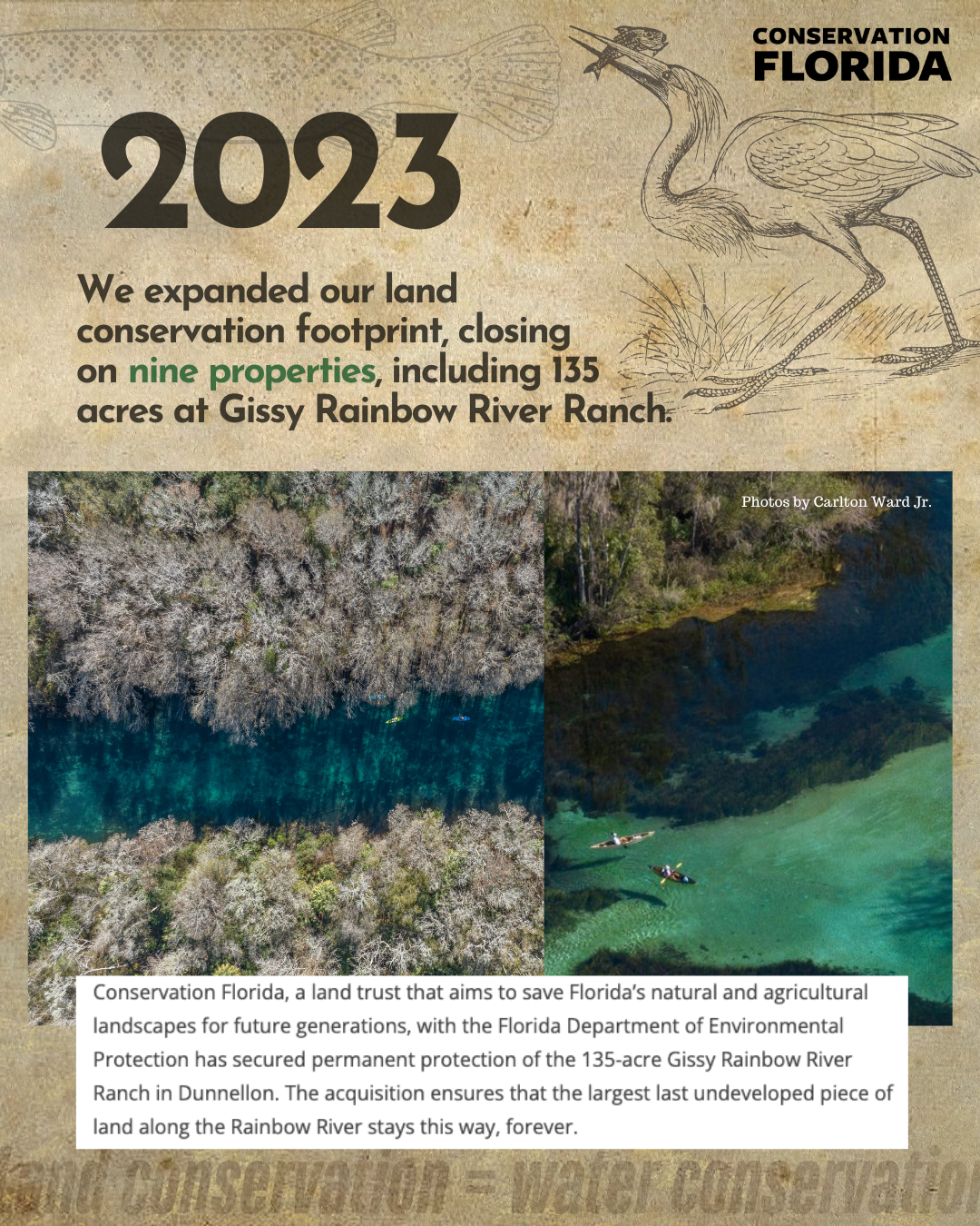 Conservation florida celebrates 25 years of strategic land conservation ...