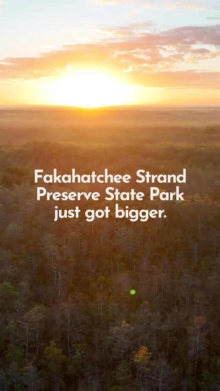 Conservation Florida