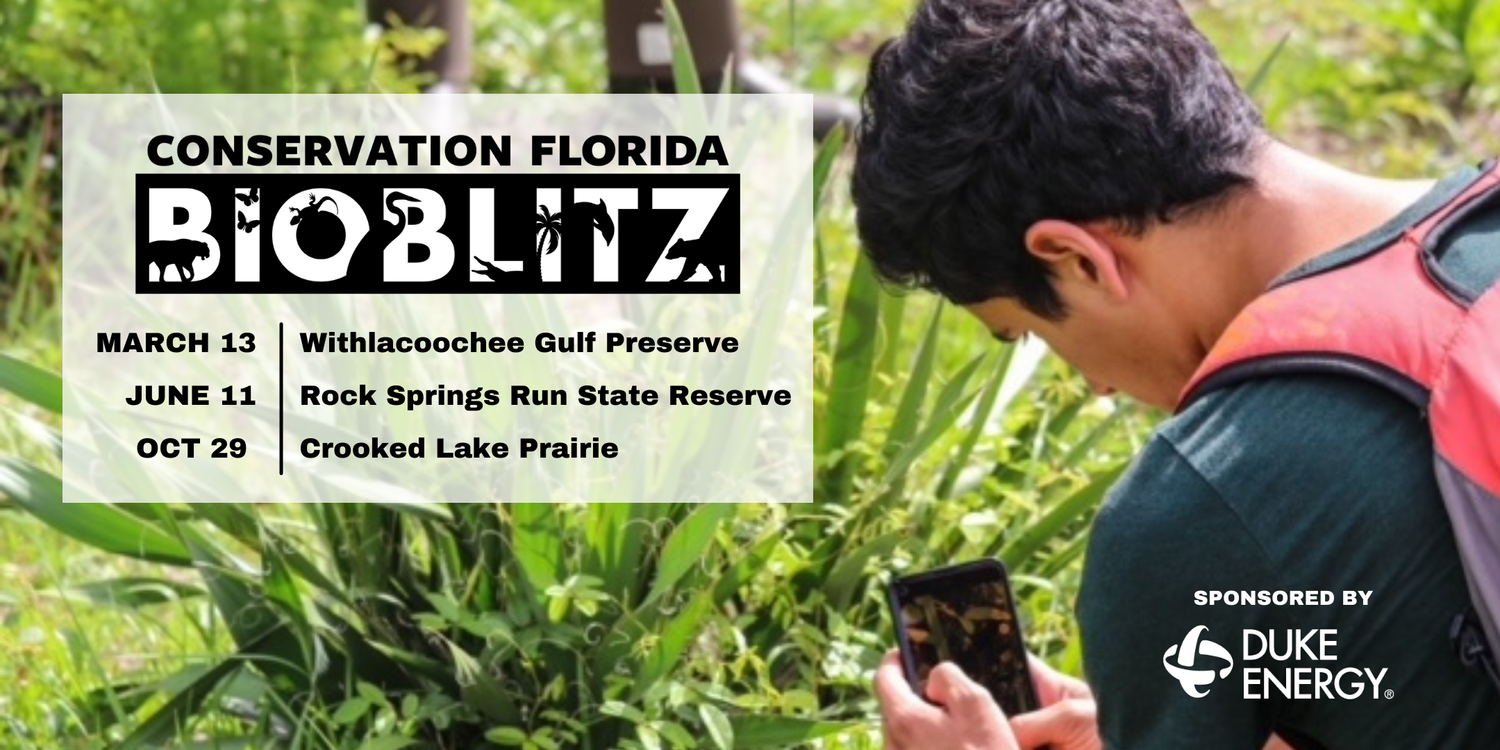 Conservation Florida and Duke Energy Team up to Offer a Free Public ...