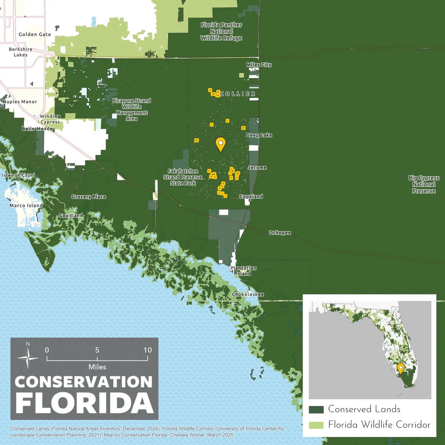 Conservation Florida Expands Florida’s Largest State Park to Protect ...