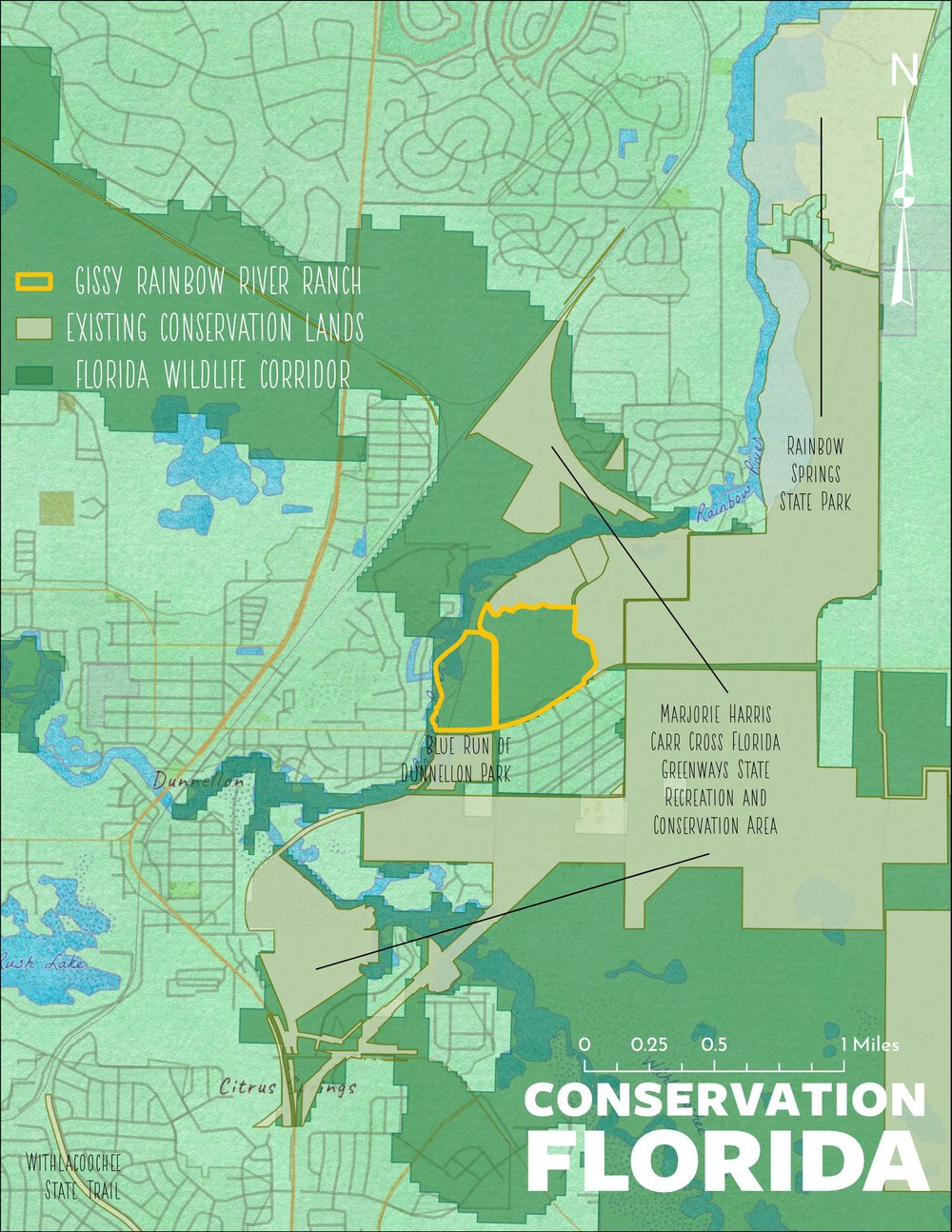 Critical Land Protected on Rainbow River in Florida Wildlife Corridor ...
