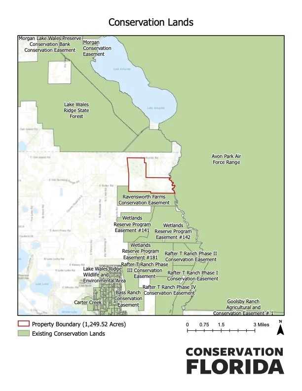 Conservation Florida Conserves 1,250-Acre Arbuckle Creek Ranch ...