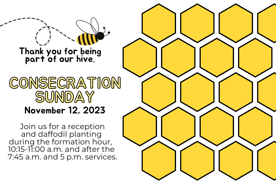 Sundays at Saint Stephen's — Saint Stephen's Episcopal Church