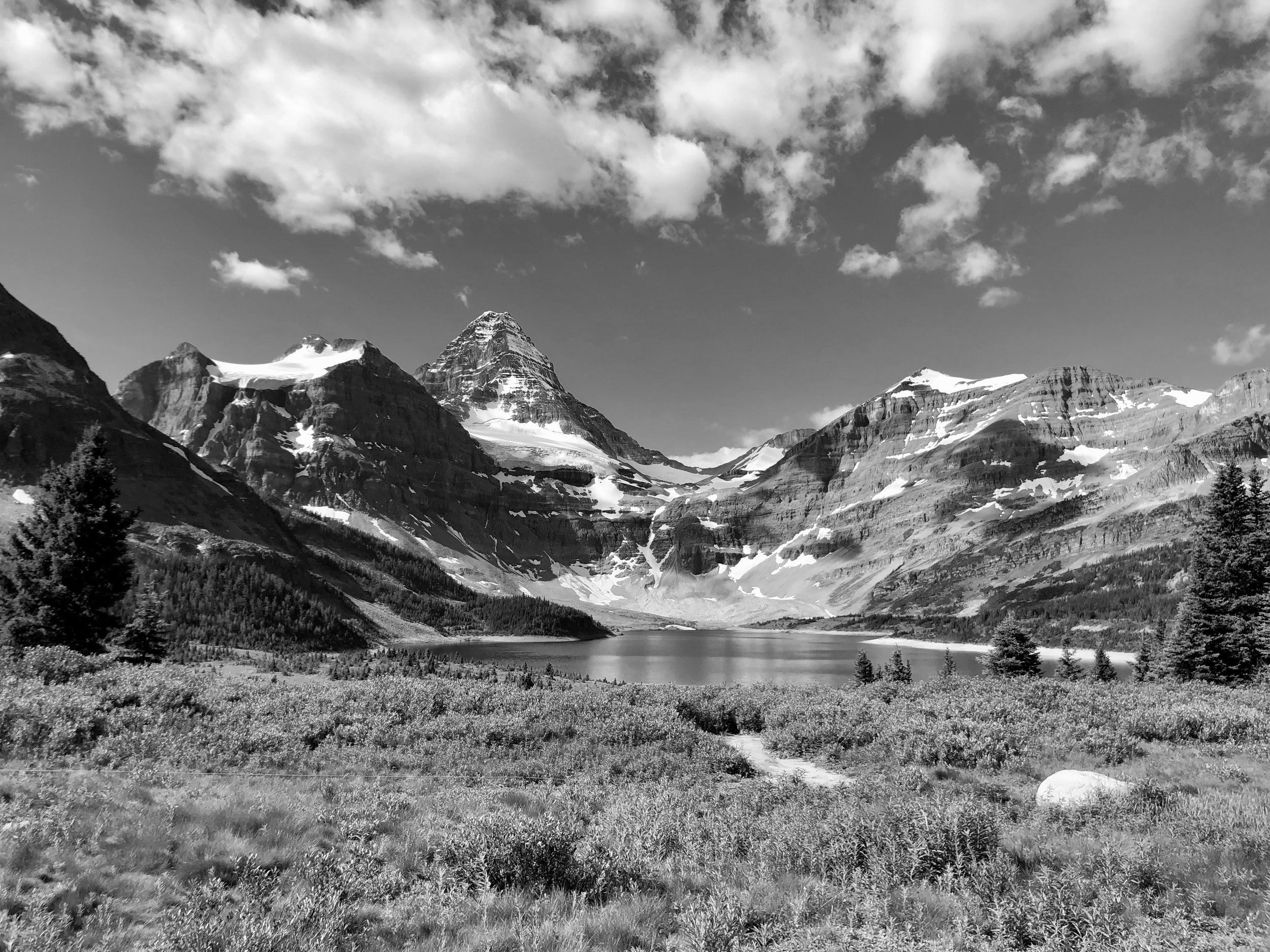 Resource List — Jennifer Stubblefield