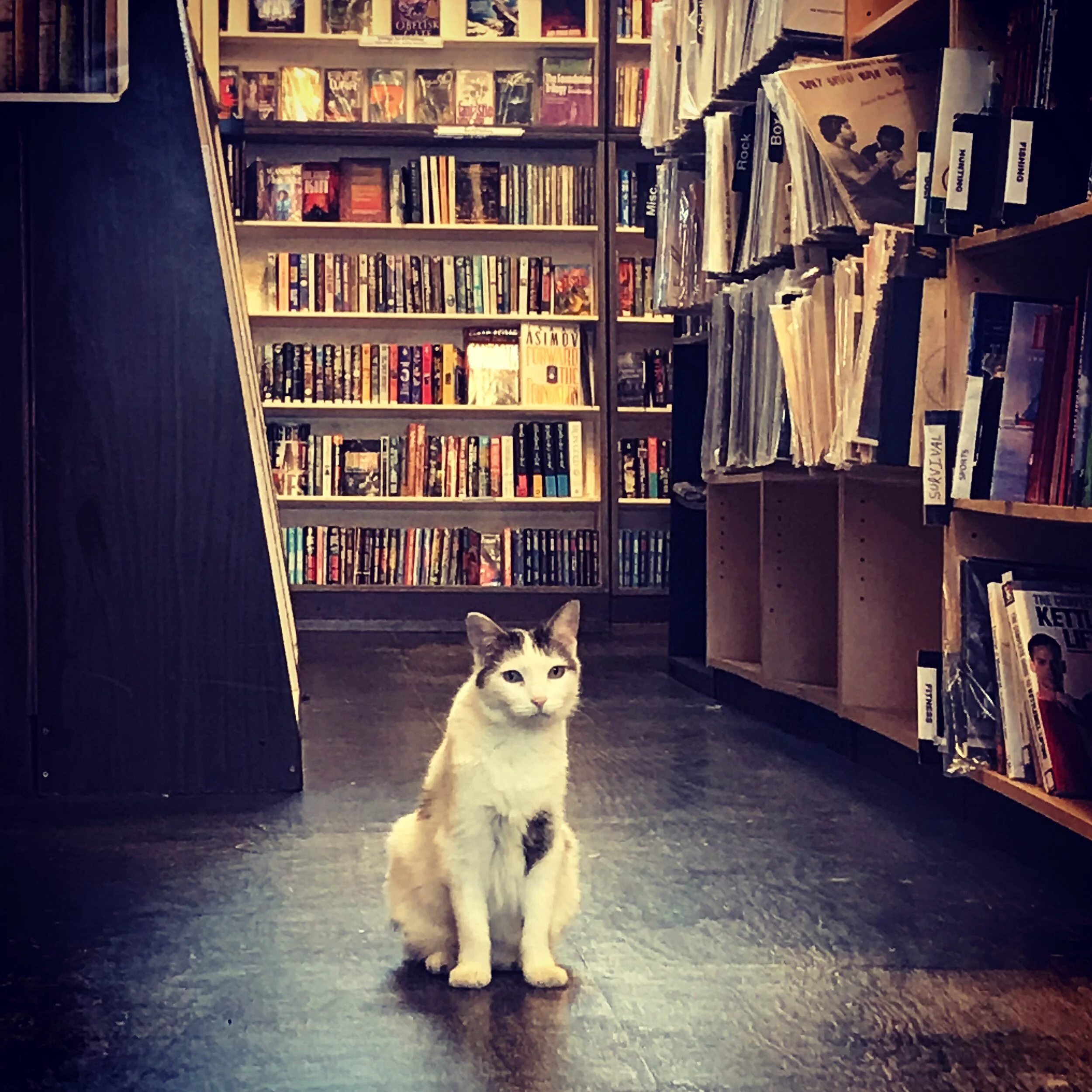 Talk Story Bookstore