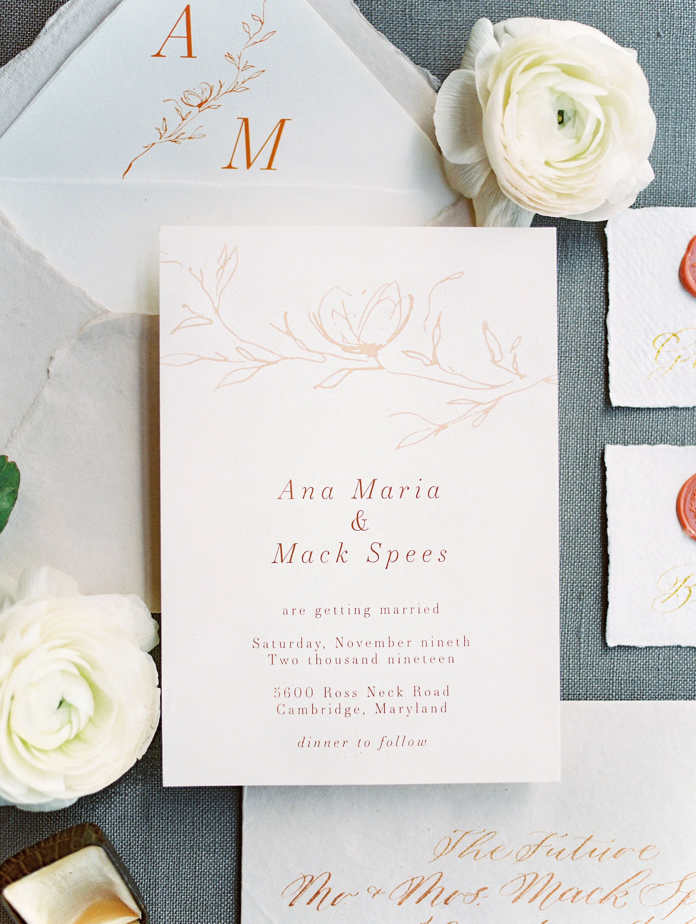 Loria Letters Calligraphy + Design