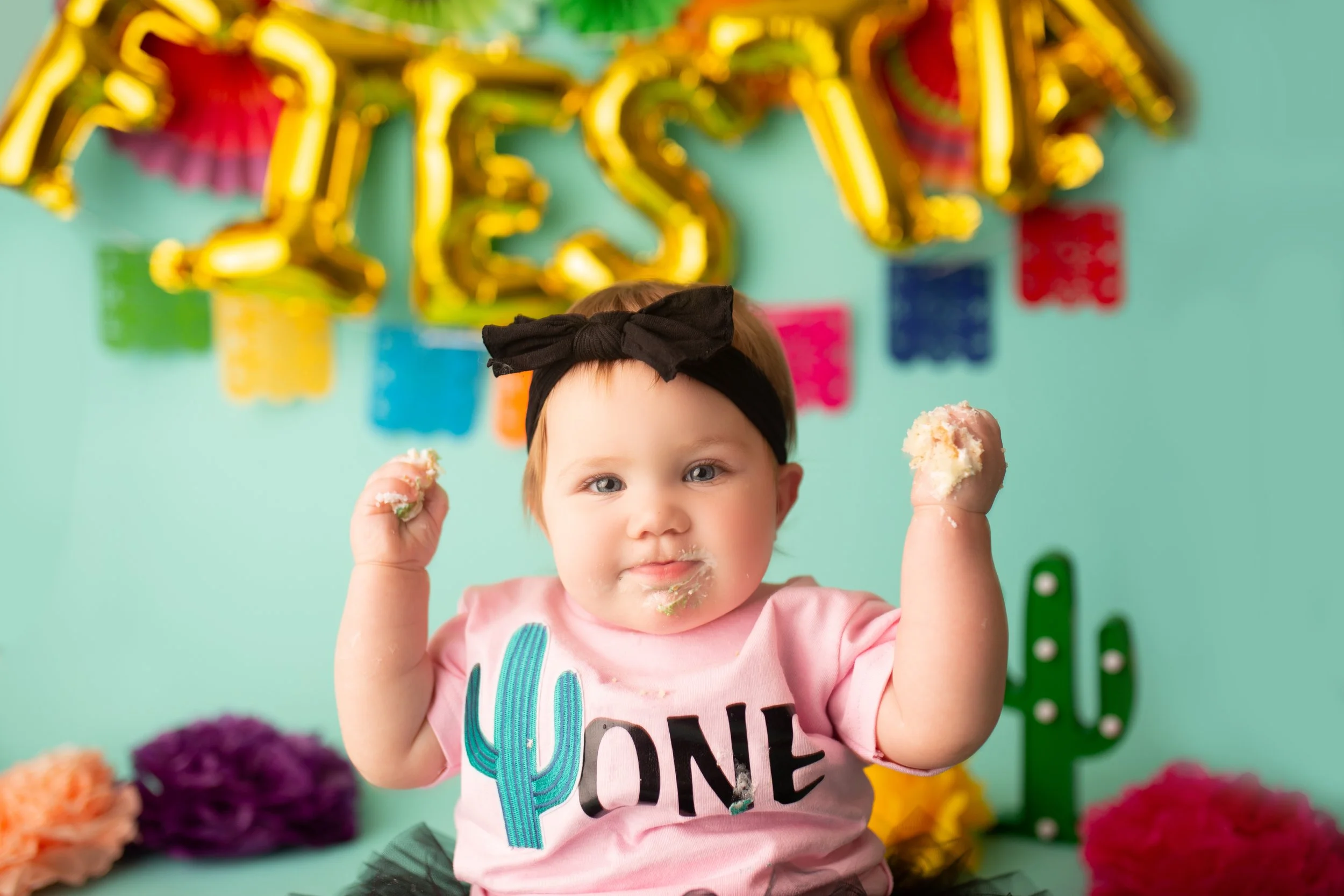 Cake Smash/Milestone — Taylor Heim Photography Fayetteville NC's #1 ...