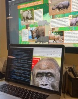 Typeflow: Ebook conversion – Fixed-layout ebooks with readaloud