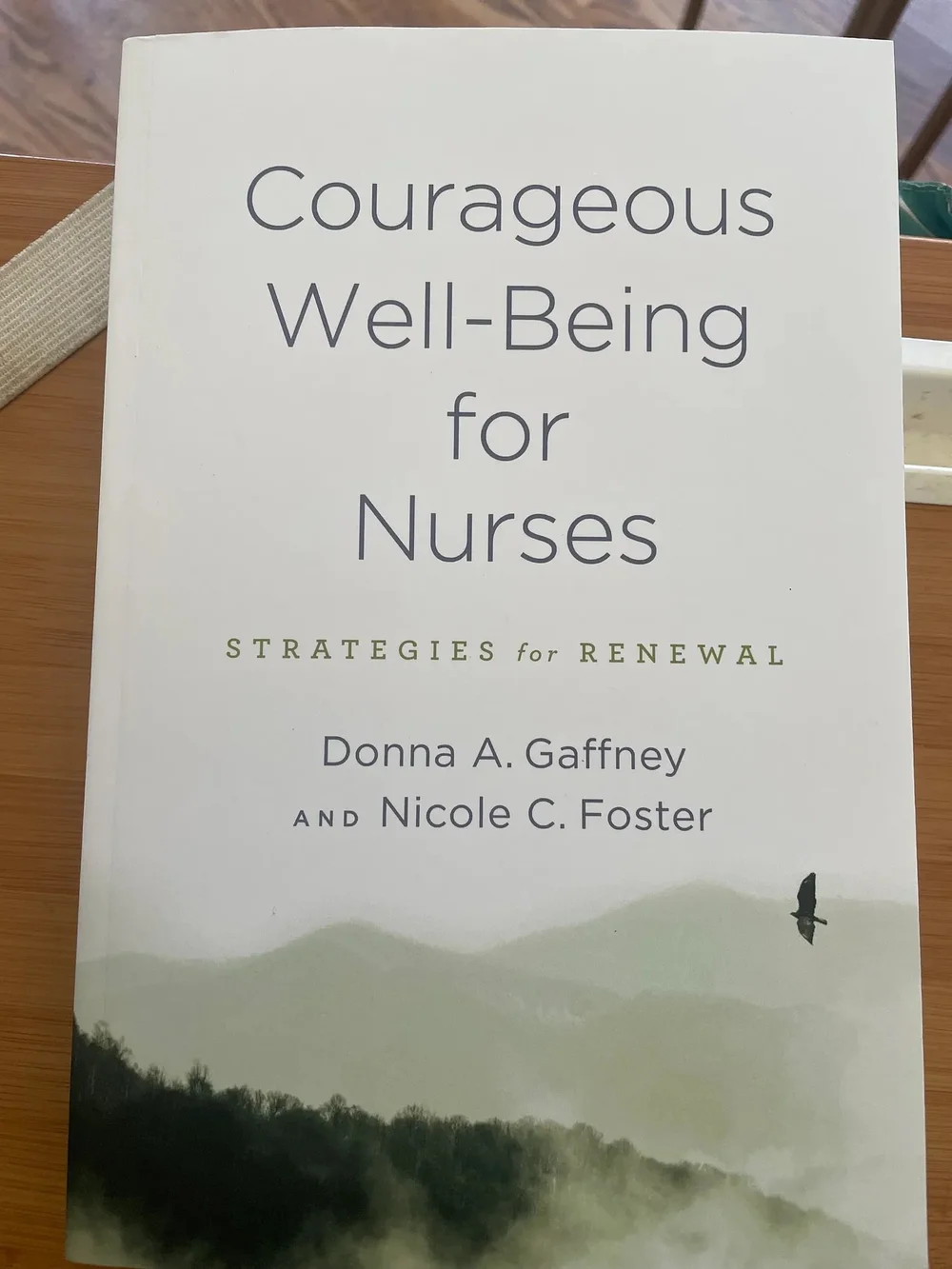 Courageous Well-Being - the story of one little song — Megan Palmer