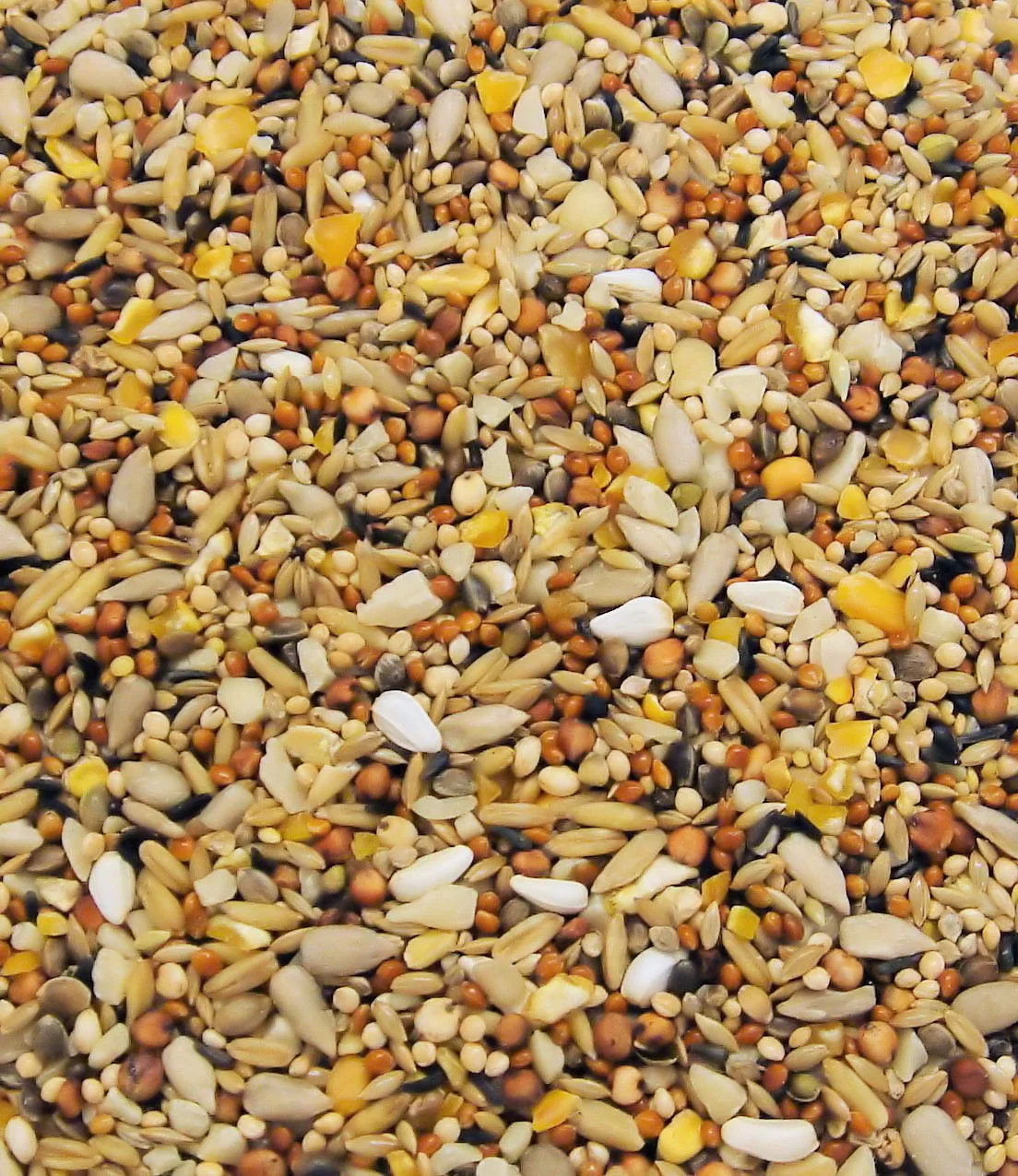 "We have been delighted with sales since stocking the wild bird seed ...