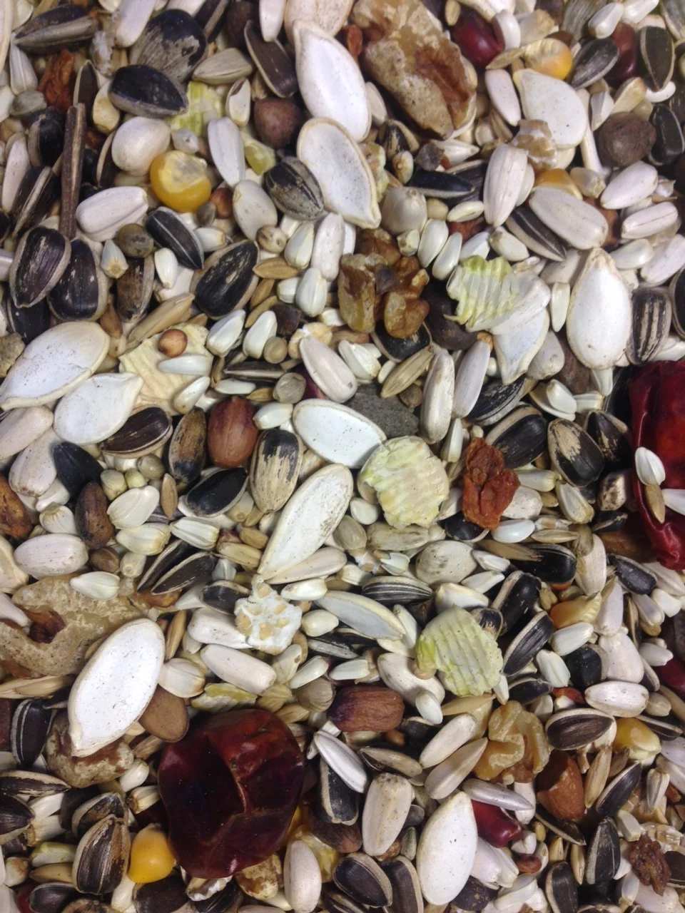 Revolutionary diets pushing the way forward in avian nutrition ...