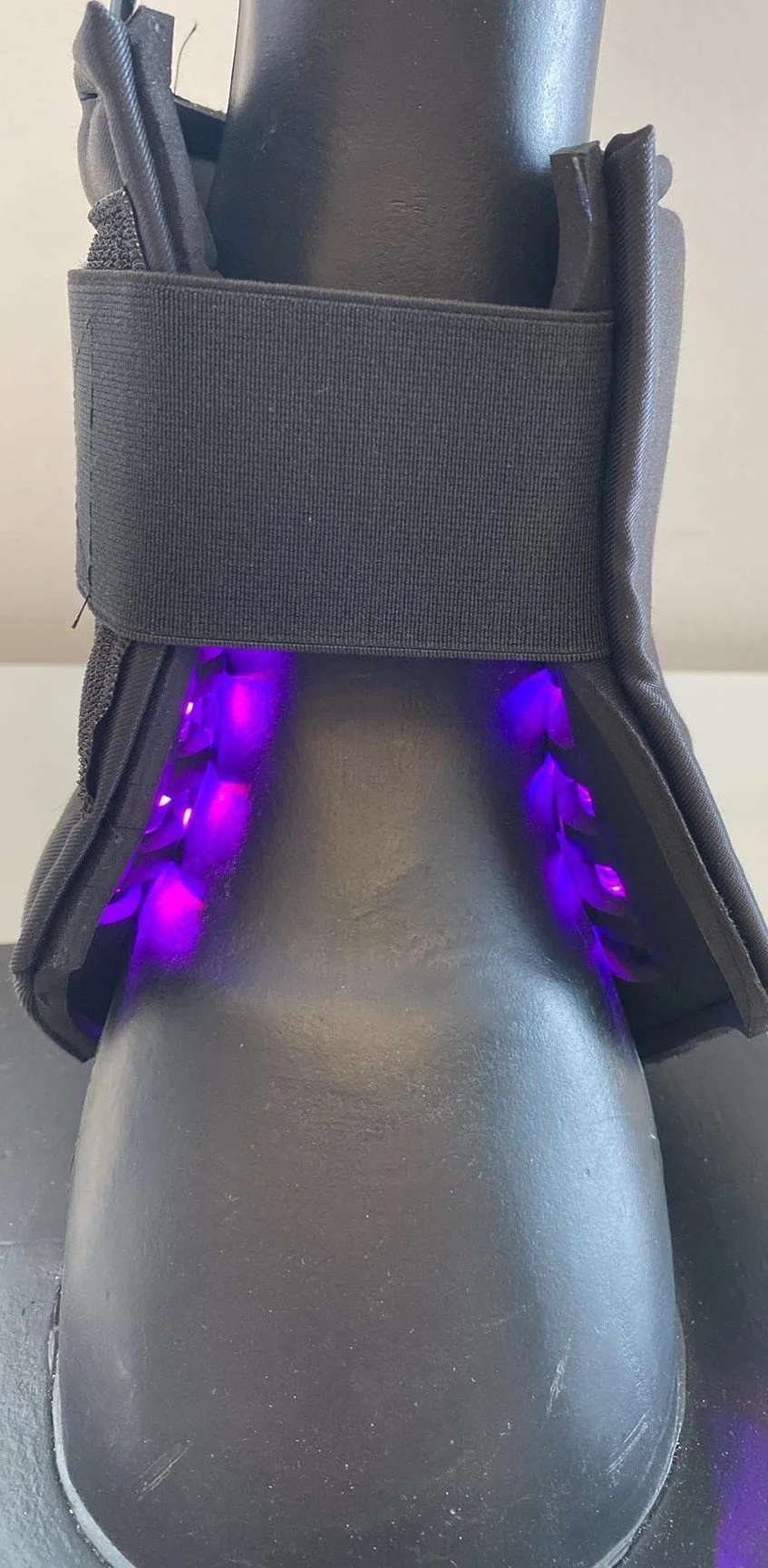 Shop Online — Stride Equine