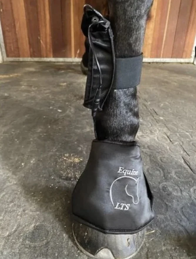 Shop Online — Stride Equine