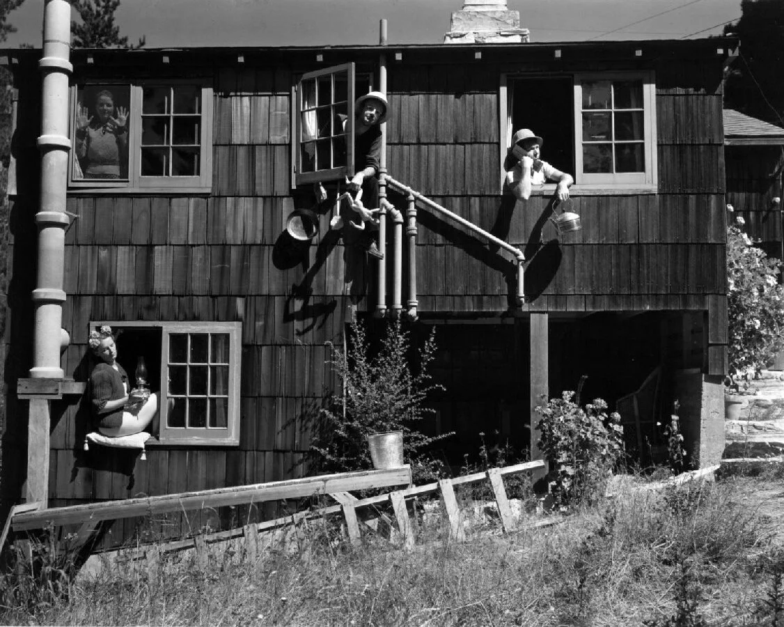 Edward Weston — WESTON GALLERY