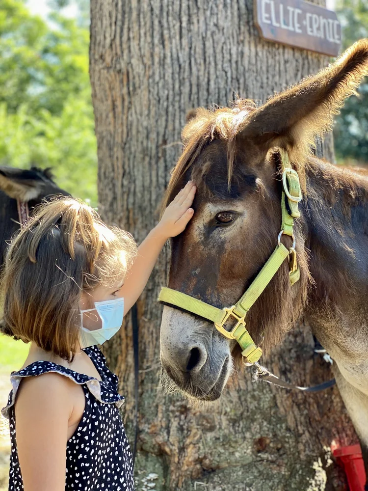 On-site field trip — the Art Barn