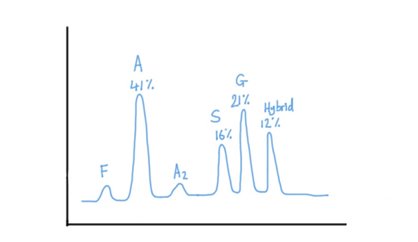 Haemoglobinopathy Diagnosis — HaemBase