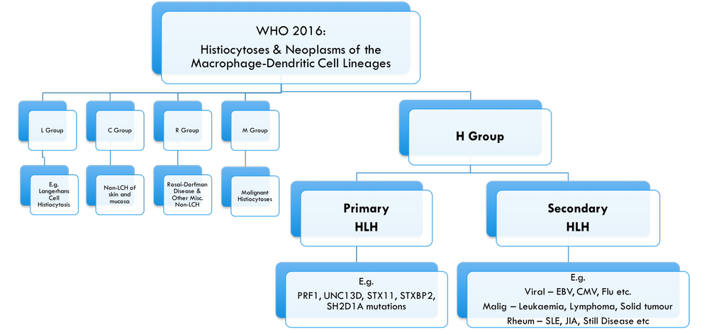 HLH — HaemBase