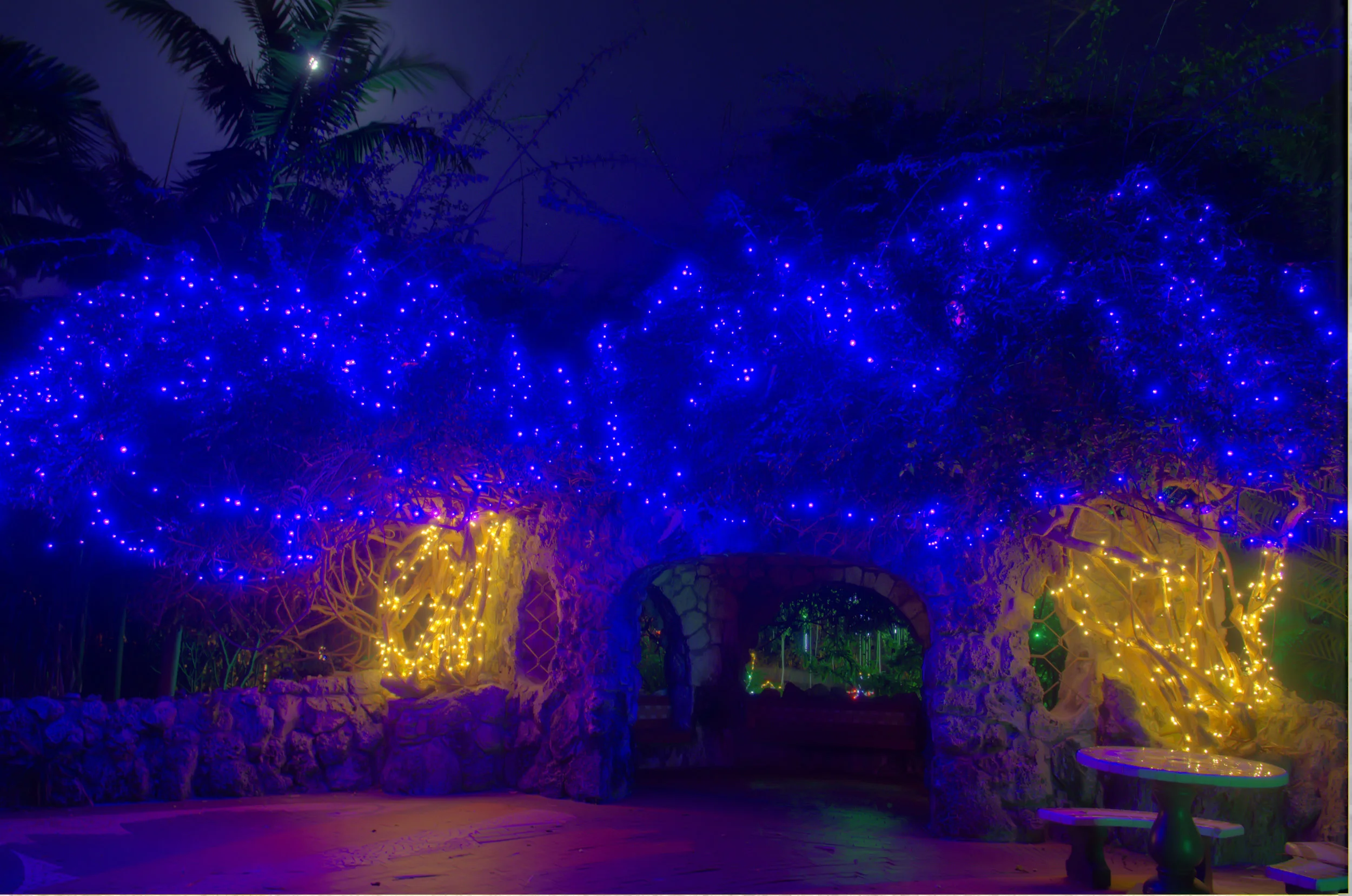 Christmas Light Provider in Miami, Fort Lauderdale, West Palm Beach