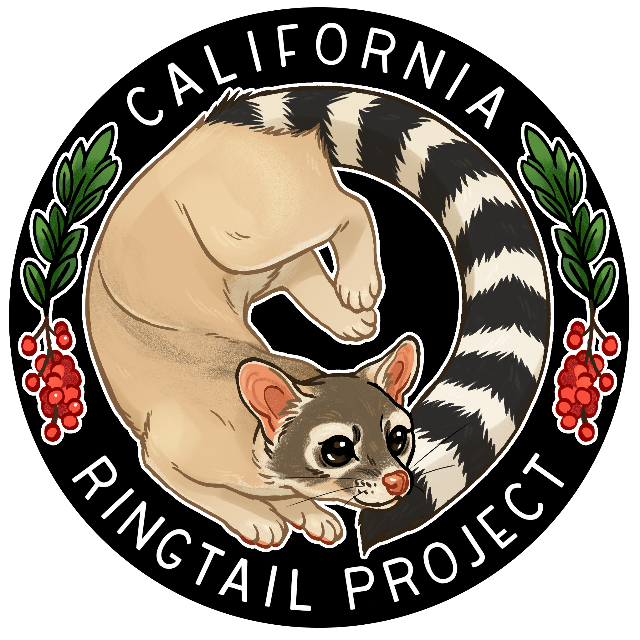 The California Ringtail Project