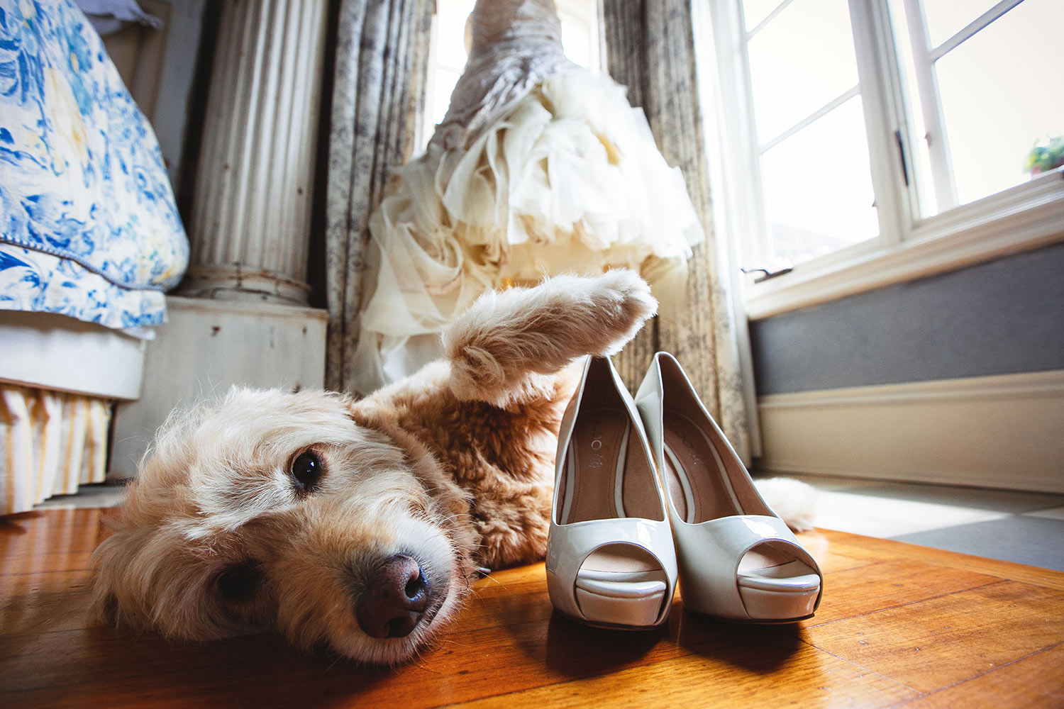 Callaway Gable | Funny Wedding Photos That Will Make You Smile