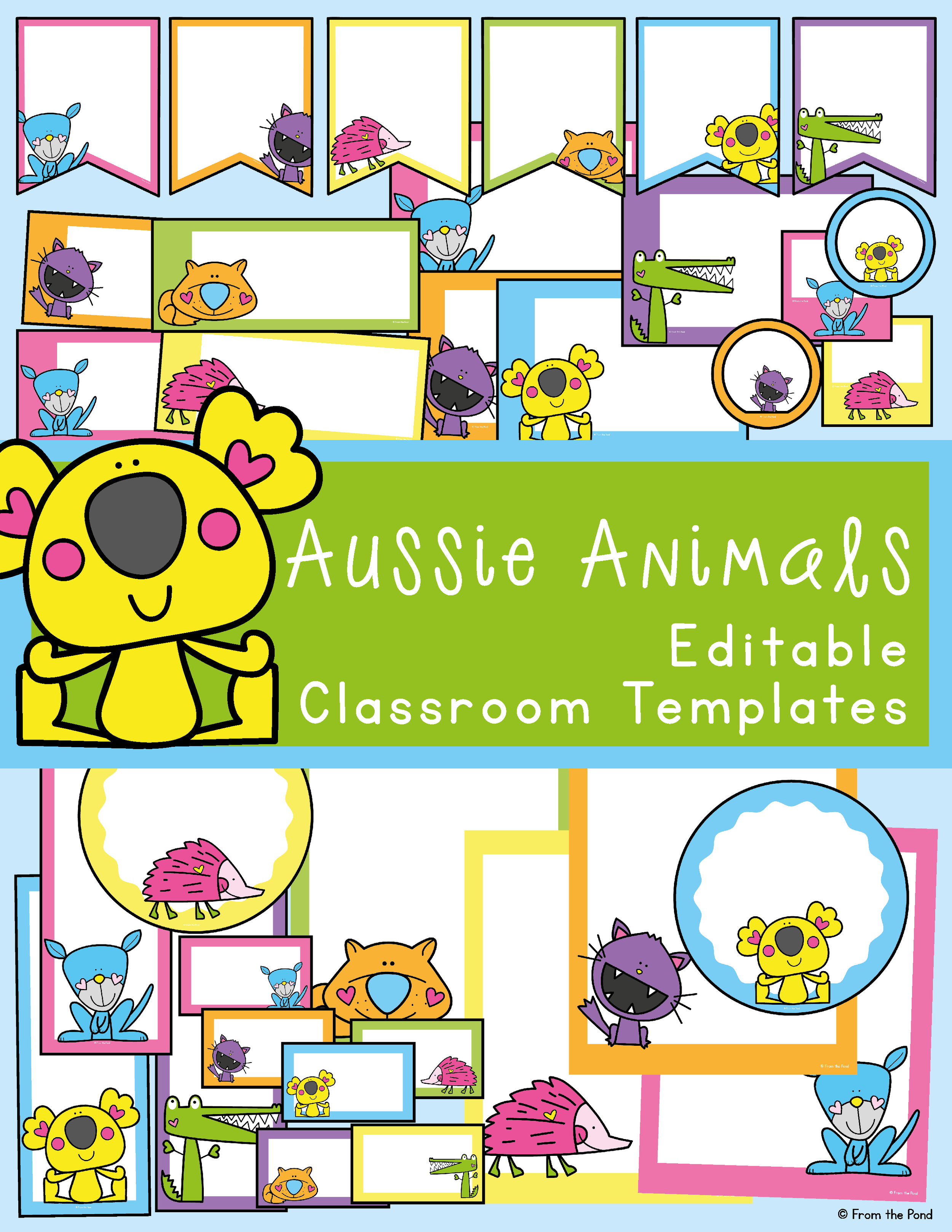 Classroom Decor — From the Pond