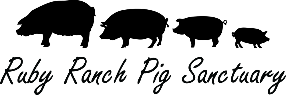 Ruby Ranch Pig and Farm Animal Sanctuary