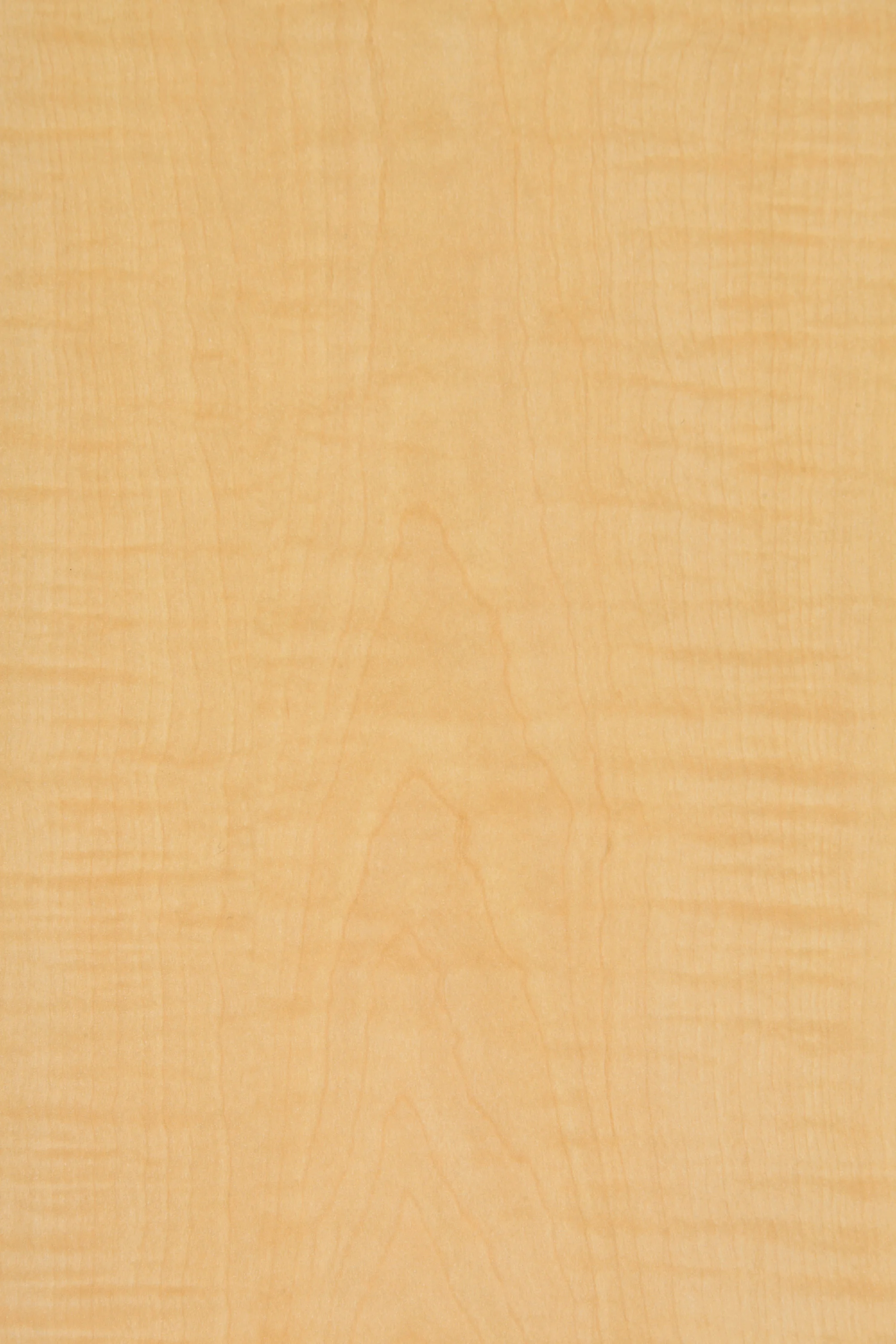 Full Colour Range — Melteca