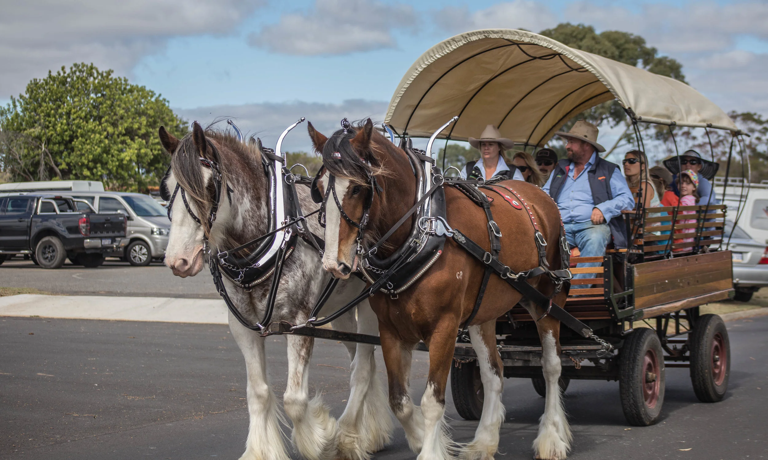 Wagons & Carriages — Colonial Clydesdales & Carriages