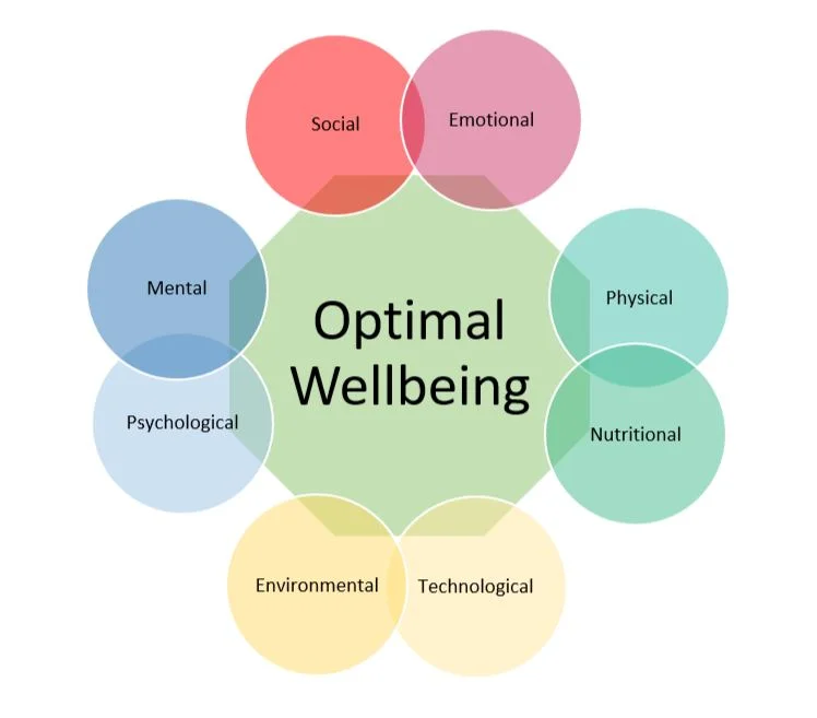 8 Key Areas For Optimal Wellbeing Bron Gowty