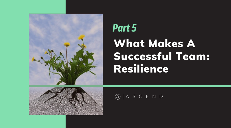 Resilience is key to a sustainable successful team — Ascend