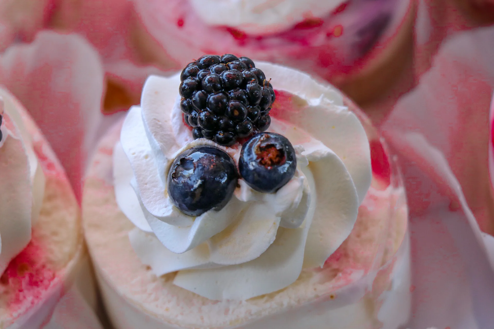 Viennese Displays — Patisserie