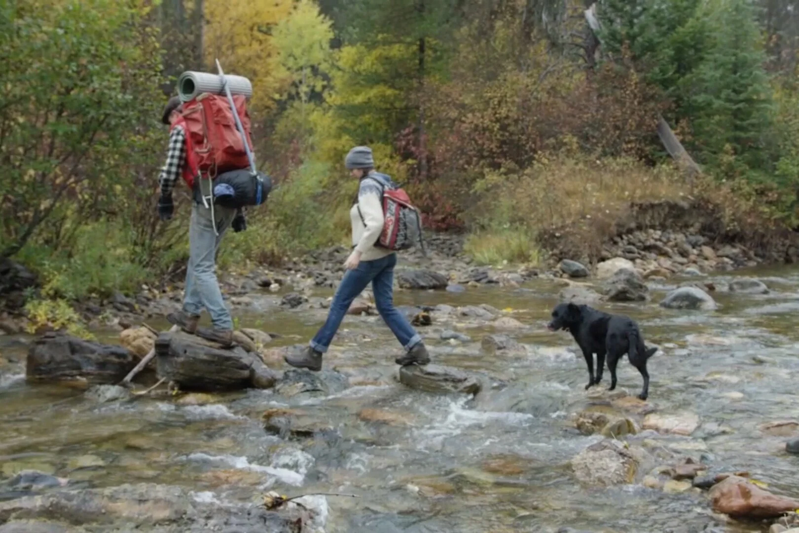 Great Burn Conservation Alliance