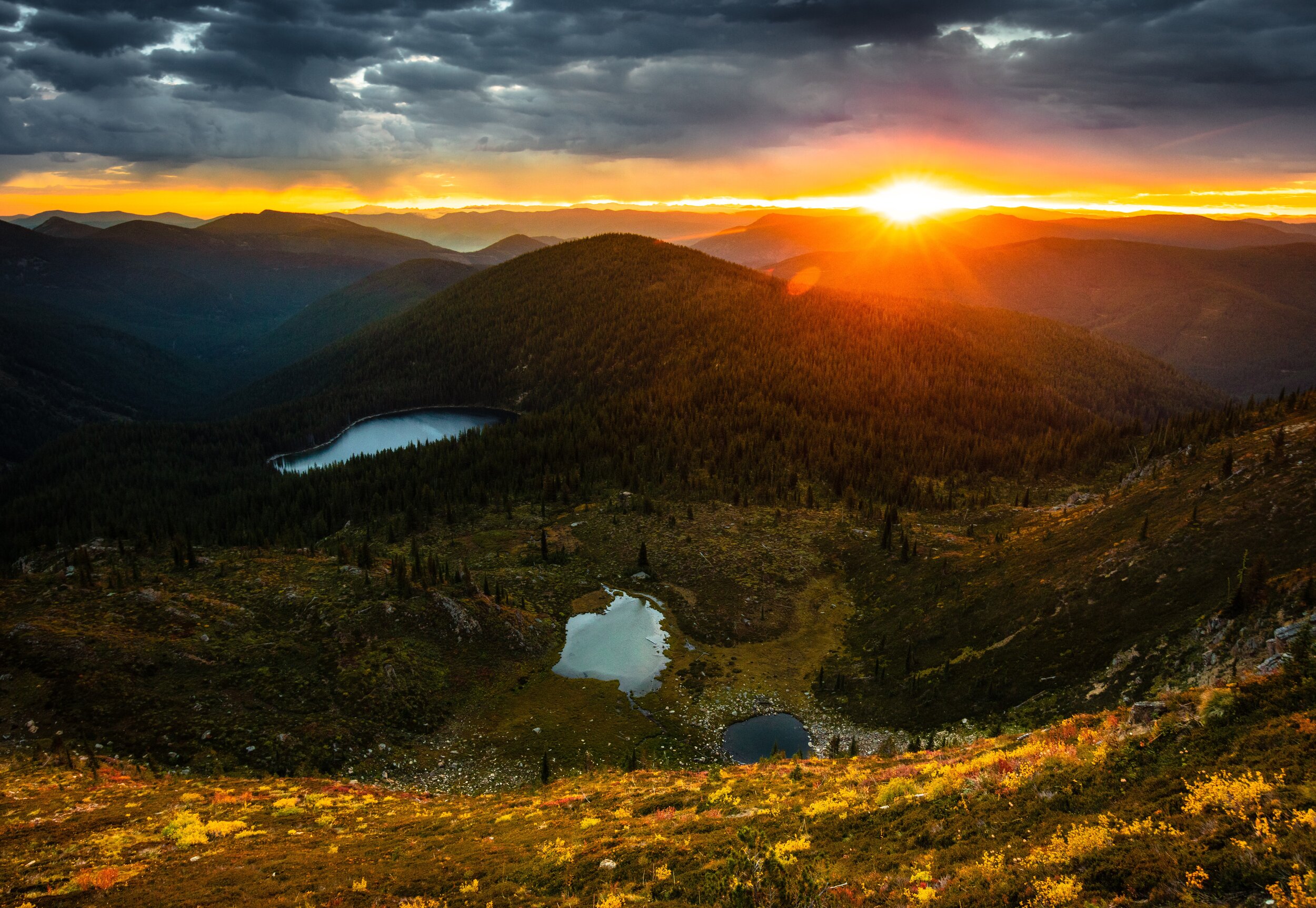 Take Action — Great Burn Conservation Alliance