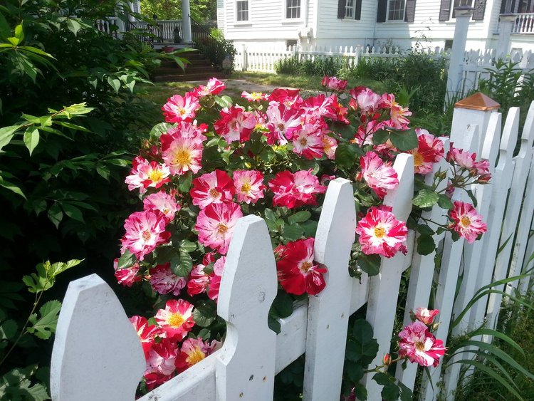 Parcel Information Search — Pasquotank County North Carolina