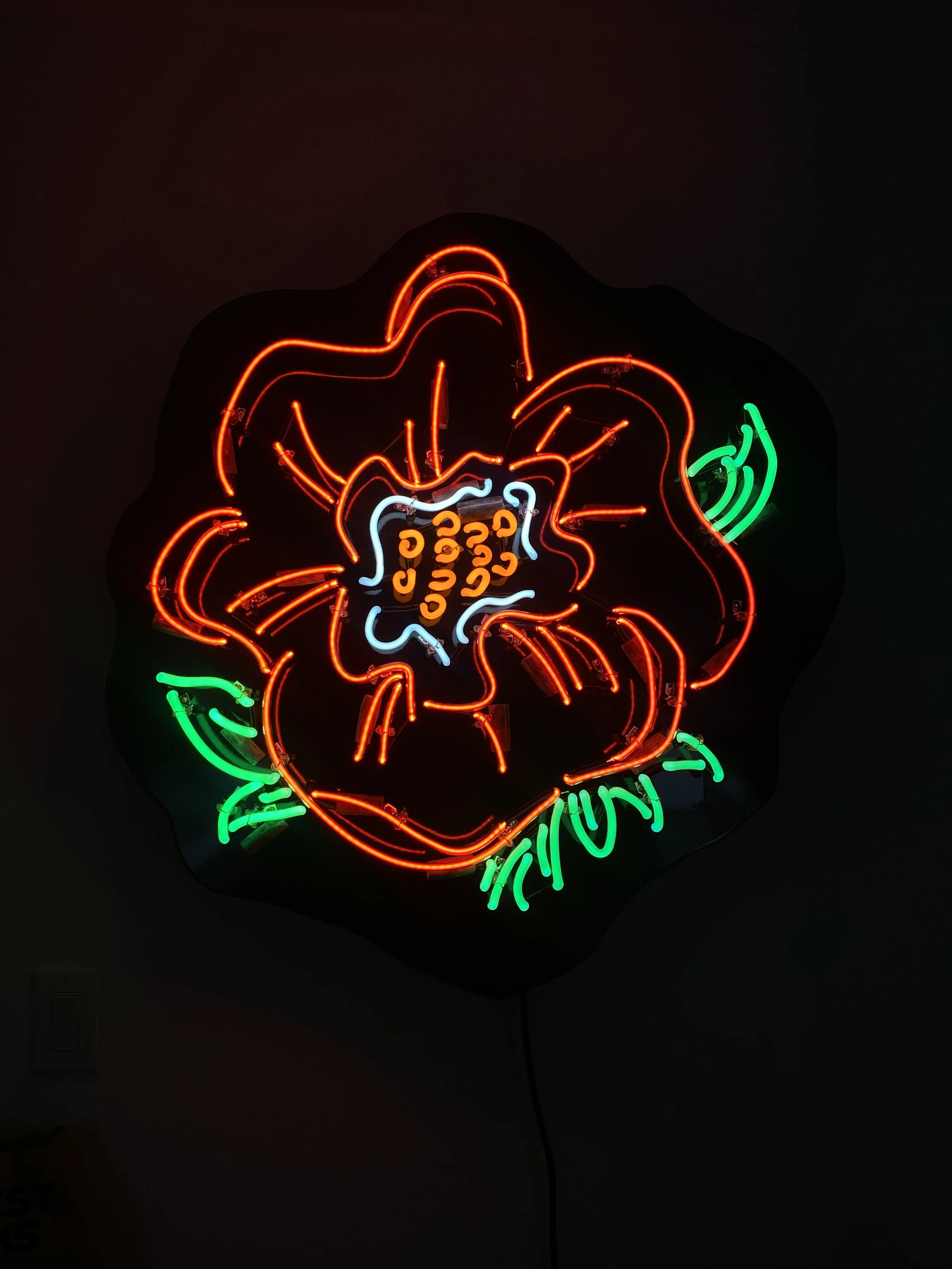 Palestinian Poppy Fundraiser for Palestine — Jude Abu Zaineh