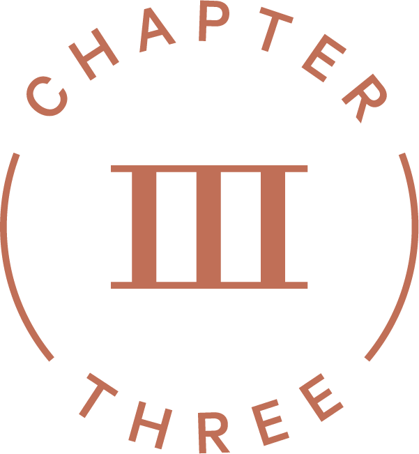 Chapter Three