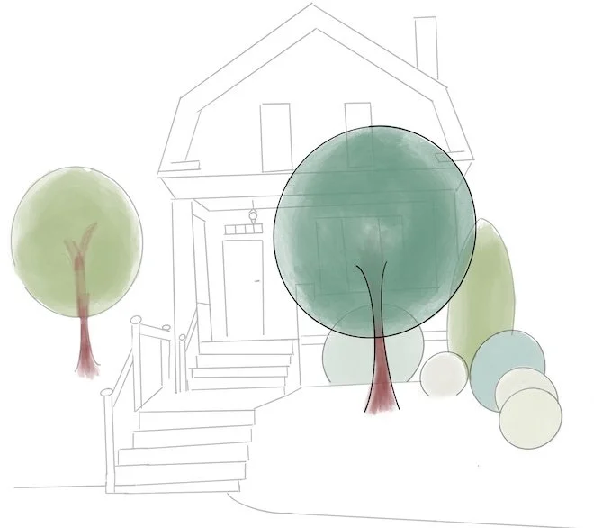Tree Design with Easy Scale Drawings — Blooms to Bees