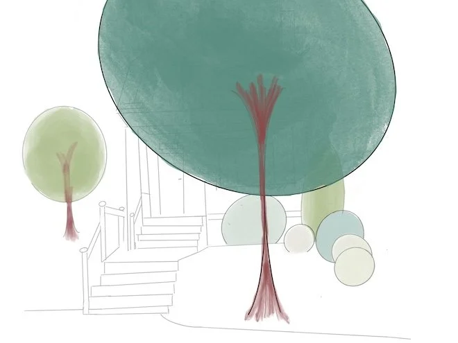 Tree Design with Easy Scale Drawings — Blooms to Bees