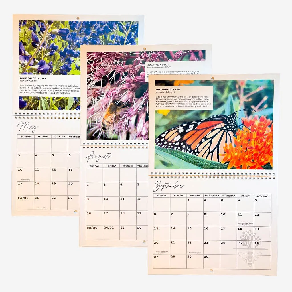 2026 Native Perennials Calendar — Blooms to Bees