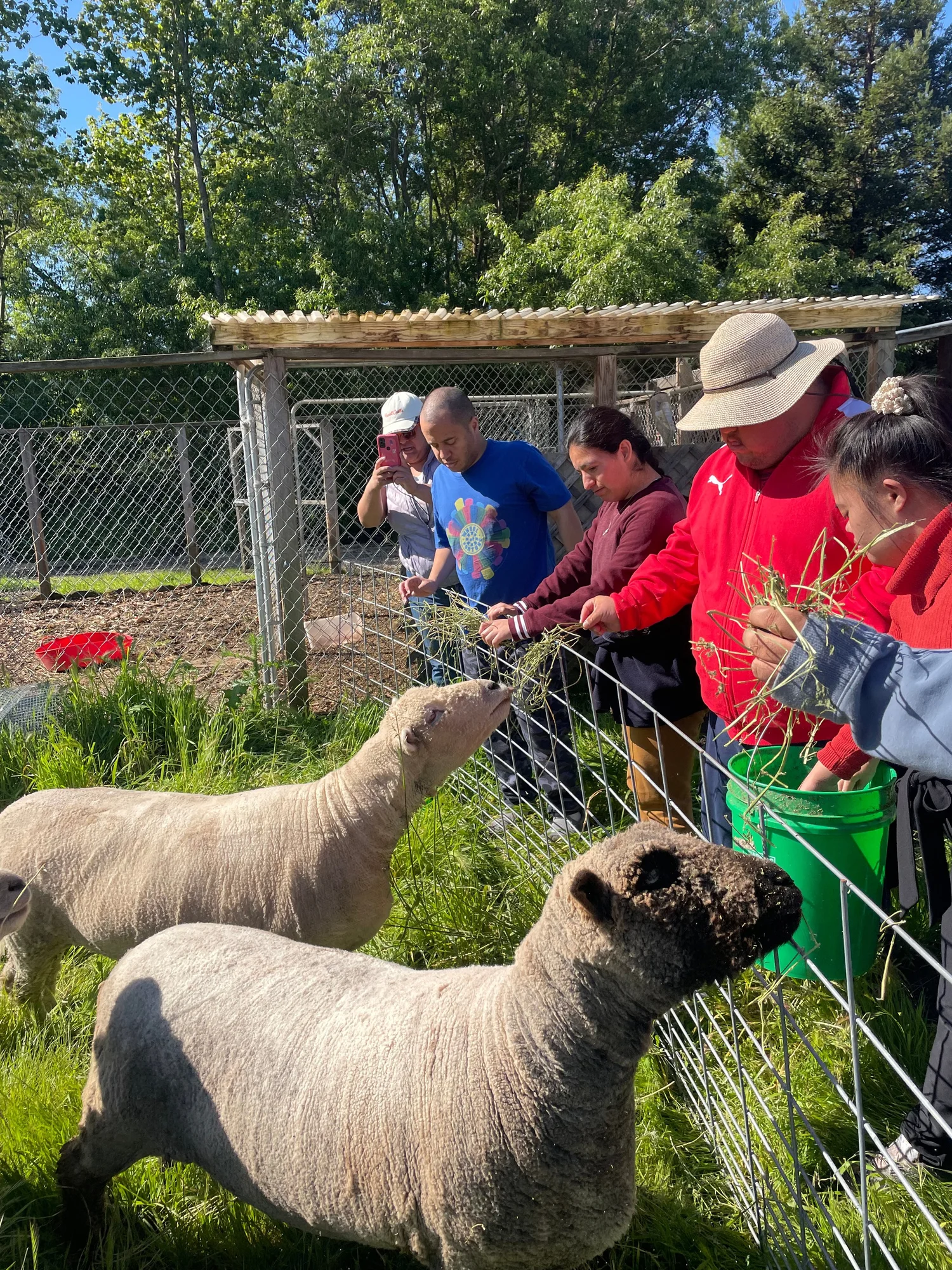 2025 Donate — Common Roots Farm