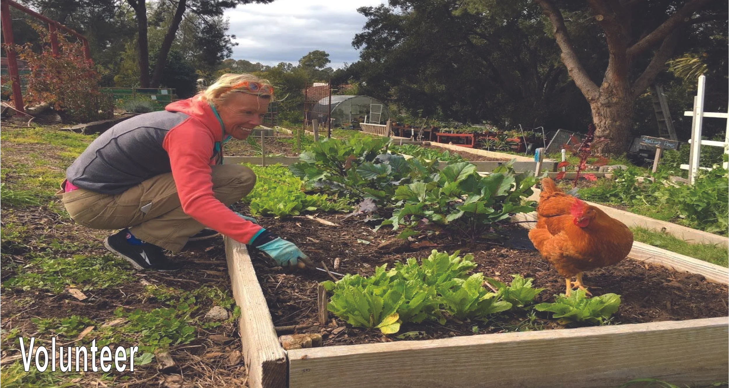 VOLUNTEER — Valmonte Farm & Garden