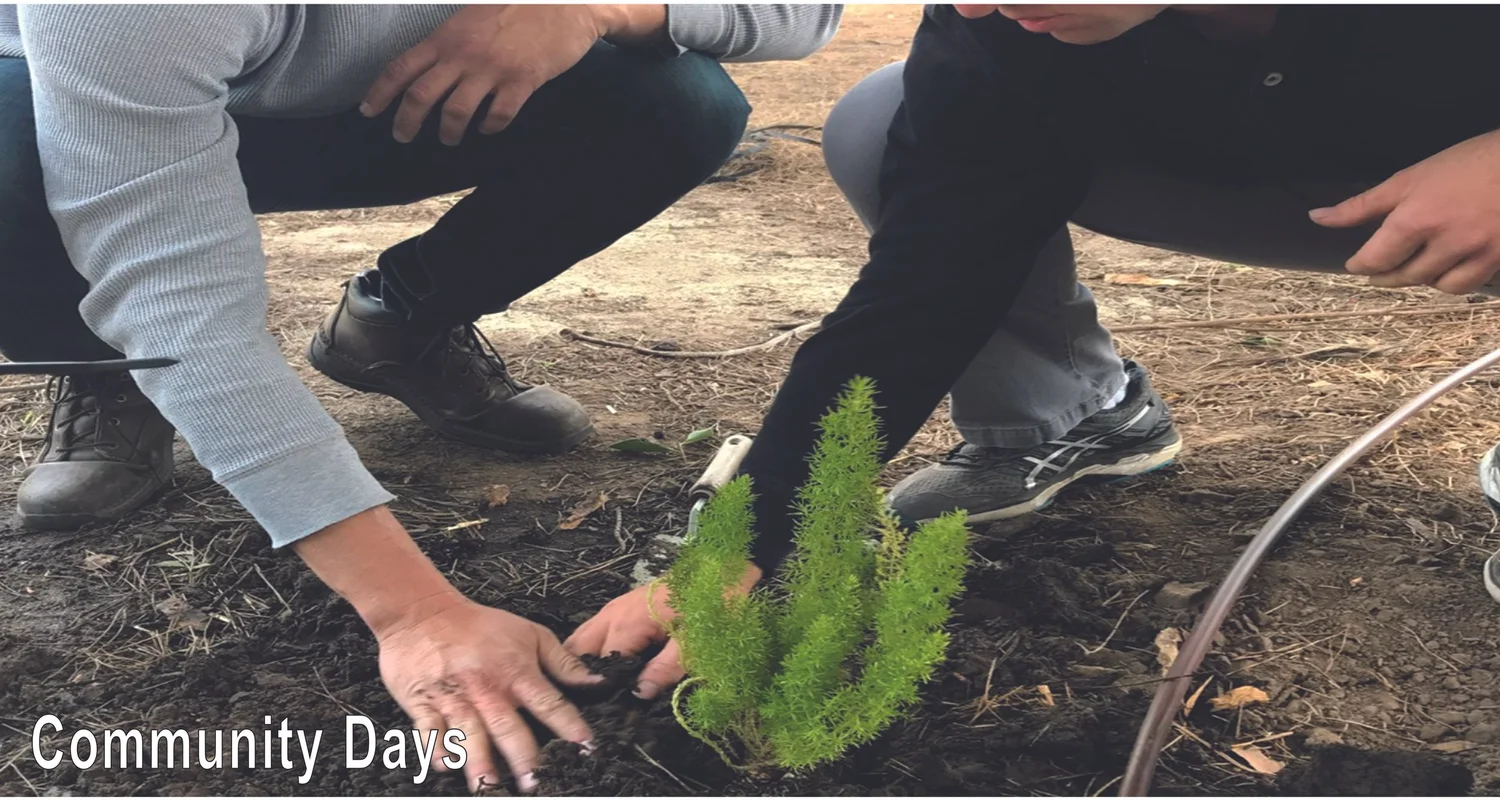 Community Days — Valmonte Farm & Garden