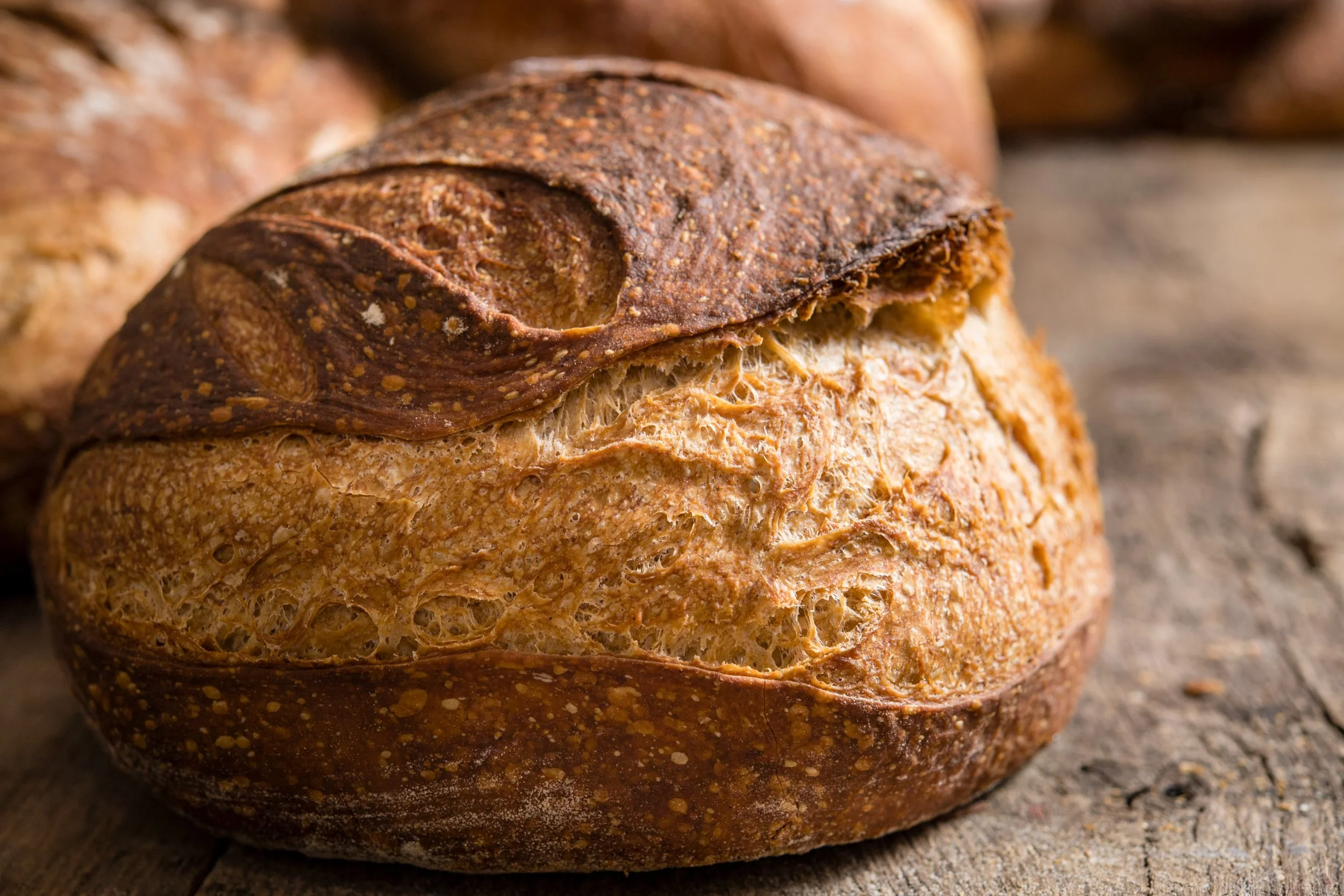 Bread Artisan Bakery