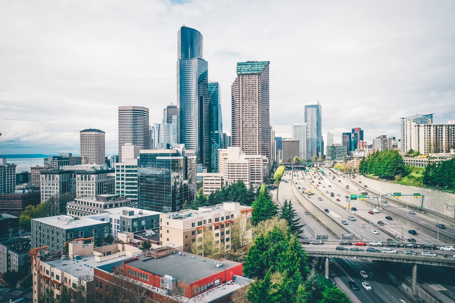 Seattle City Guide - The Best Things to Do — Nourish the Free Life