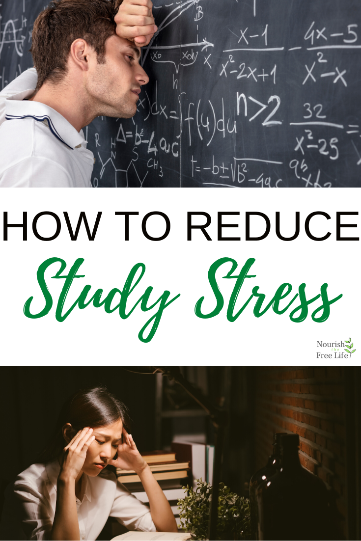 8 Ways to Manage Study Stress — Nourish the Free Life