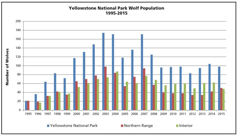 The Positive Effects of Wolf Populations Flow into Rivers and Beyond ...