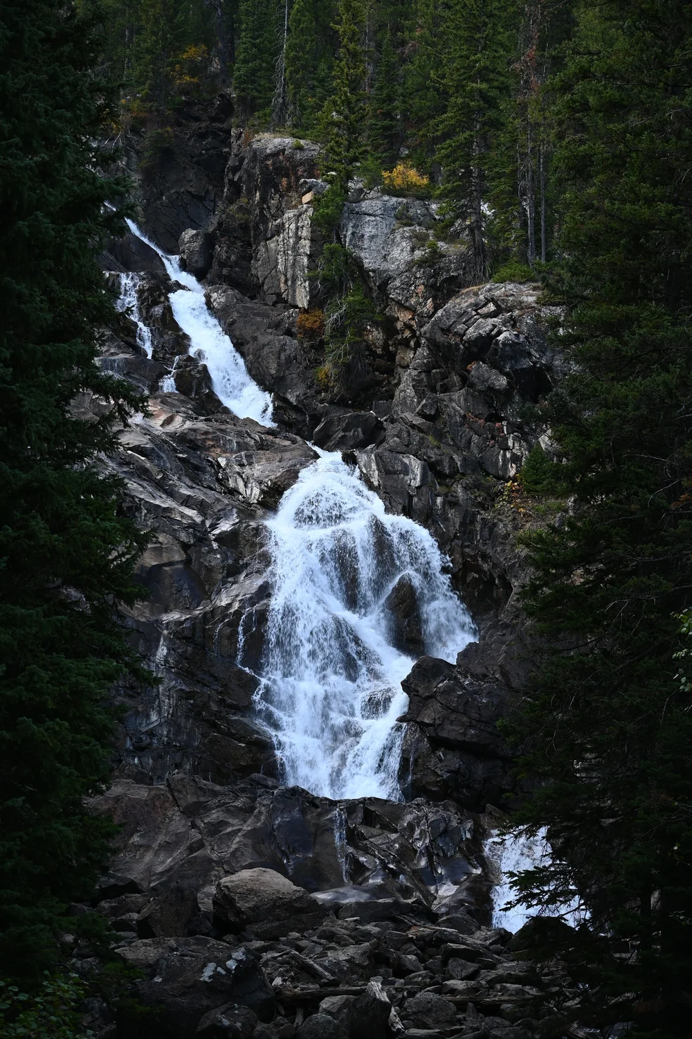 Three Months in Jackson Hole: A Photo Story — In Our Nature